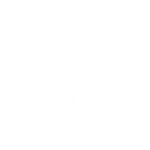 Saskatchewan Cheerleading Association | Building Safer, Stronger Cheerleading